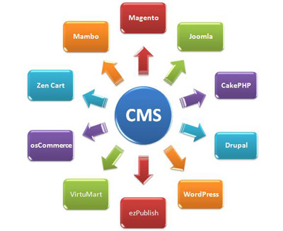 Advantages and disadvantage of CMS